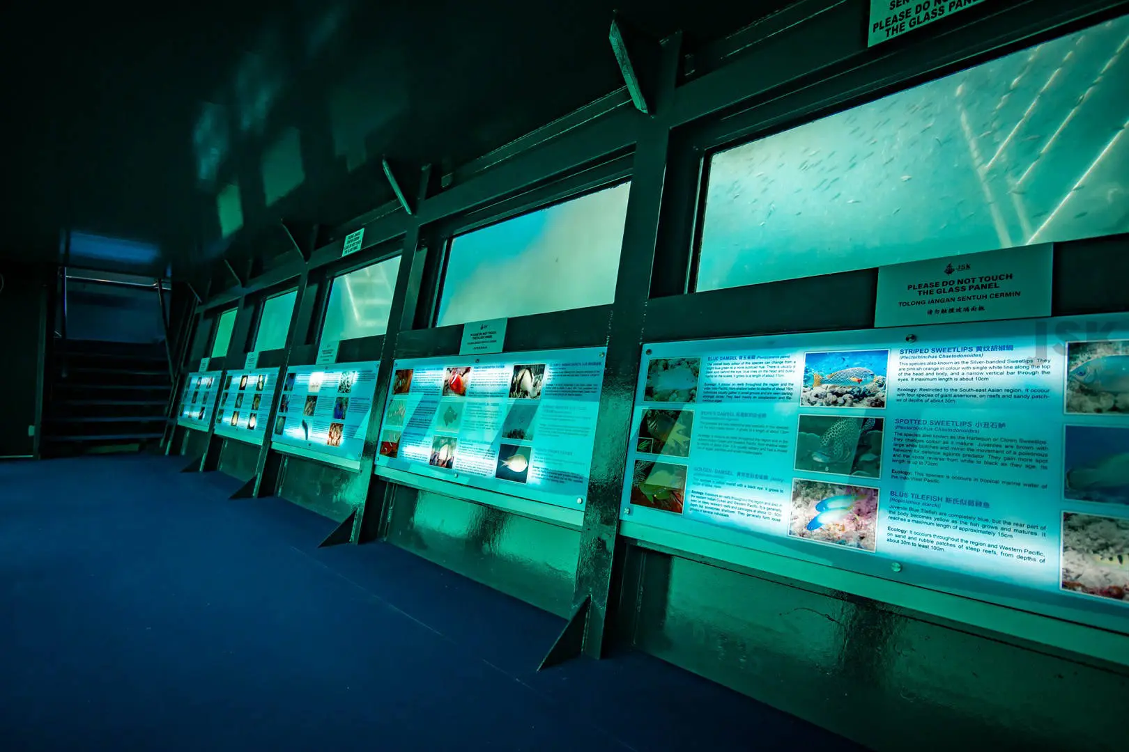 JSK Floating Island - Underwater Observatory Tunnel - Attraction Photo ...
